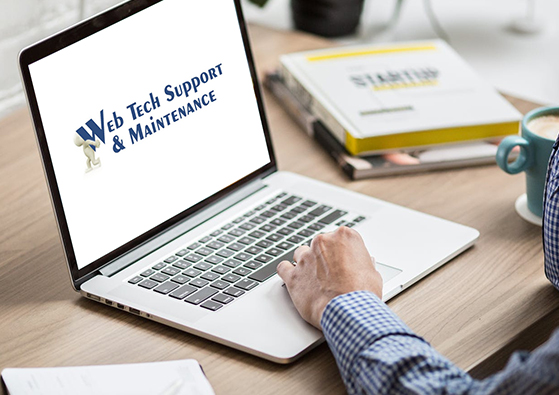 Flexible Software Maintenance Company - Solitaire Infosys